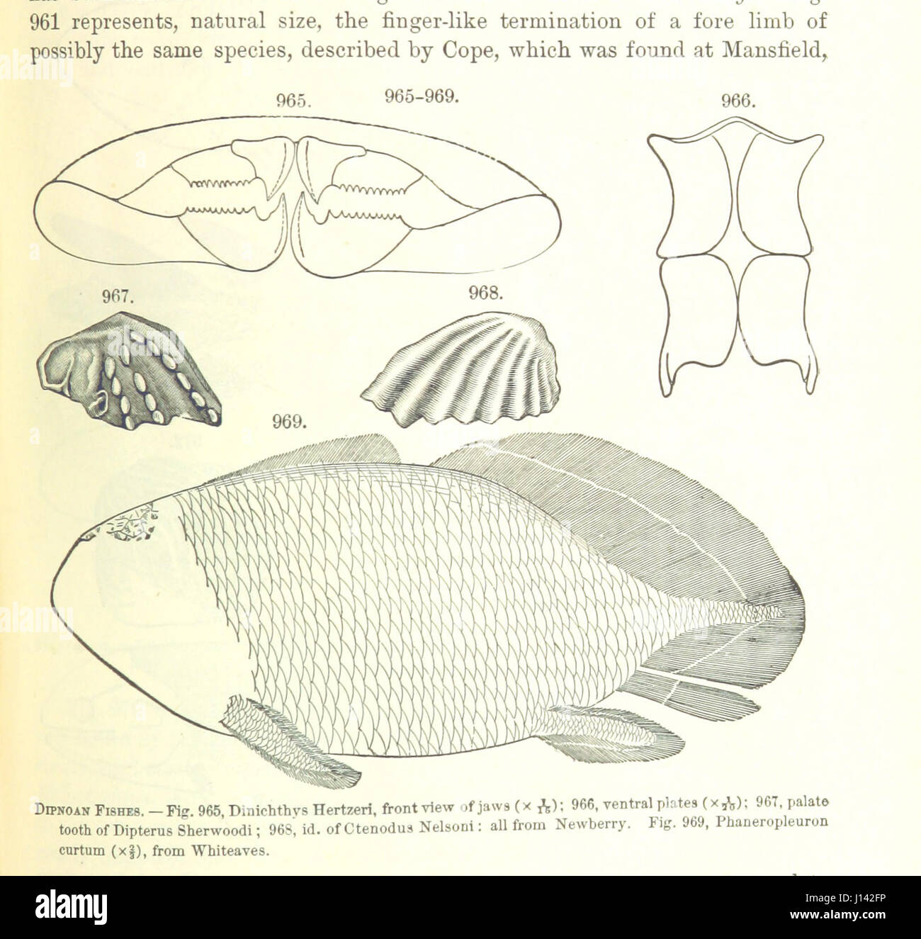 The revised edition of the 'Manual of Geology' covers the principles of ...