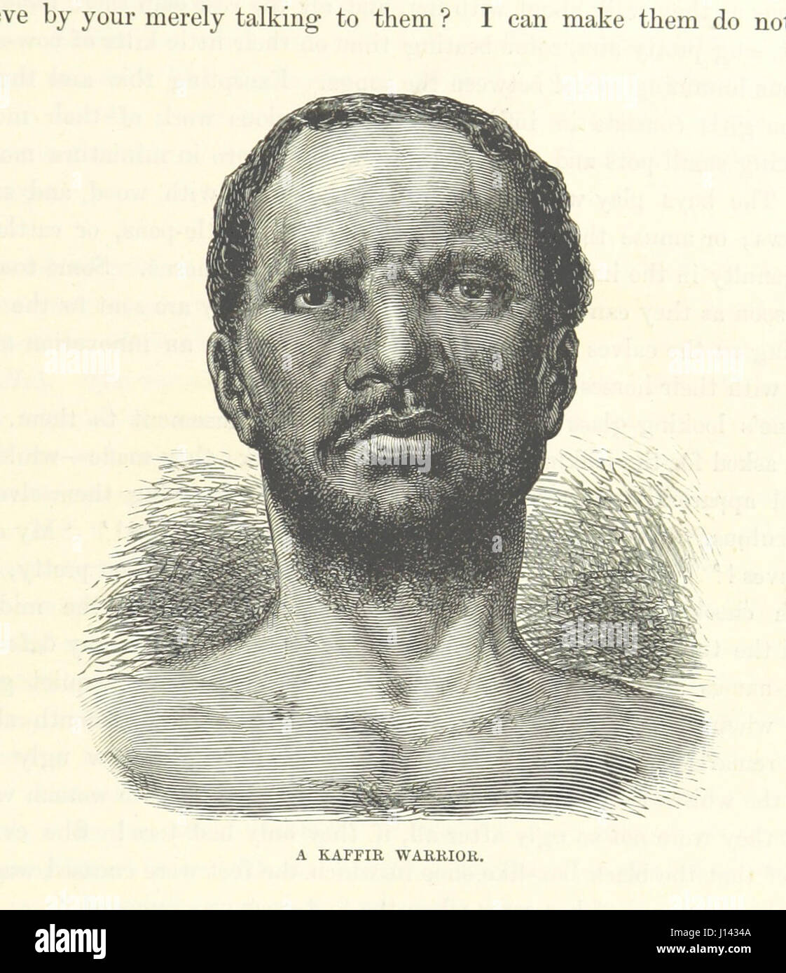 Principal varieties of mankind hi-res stock photography and images - Alamy