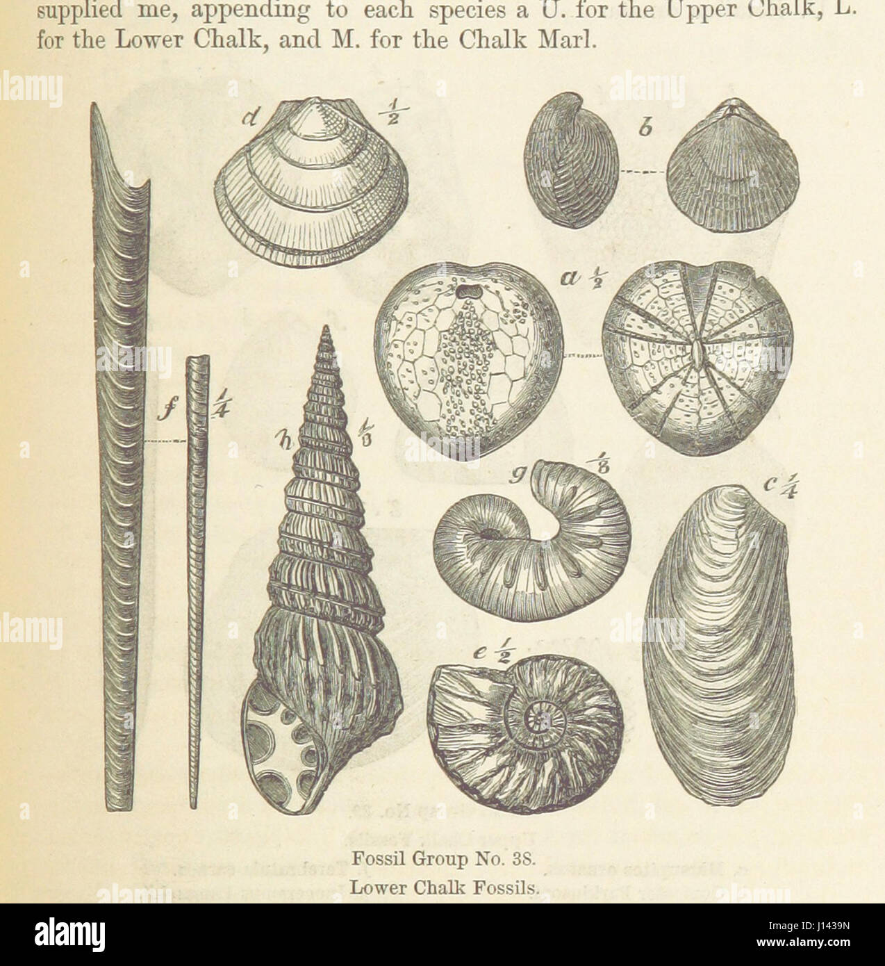 A comprehensive guide to geology for students, covering rock formations ...