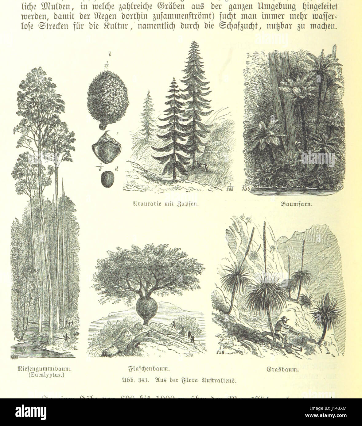 This book is a compact illustrated geography manual, now in its third ...