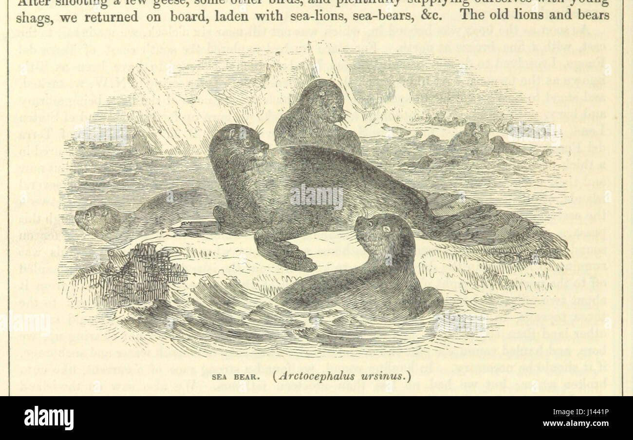 'The Voyages of Captain James Cook' details the famous expeditions of ...