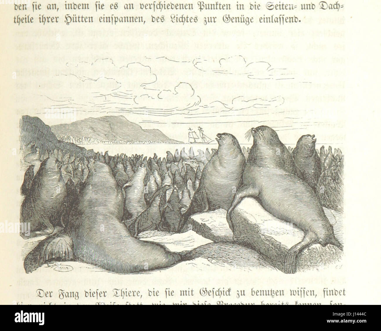 This German work, 'Man, the Riddles and Wonders of His Nature,' in its ...