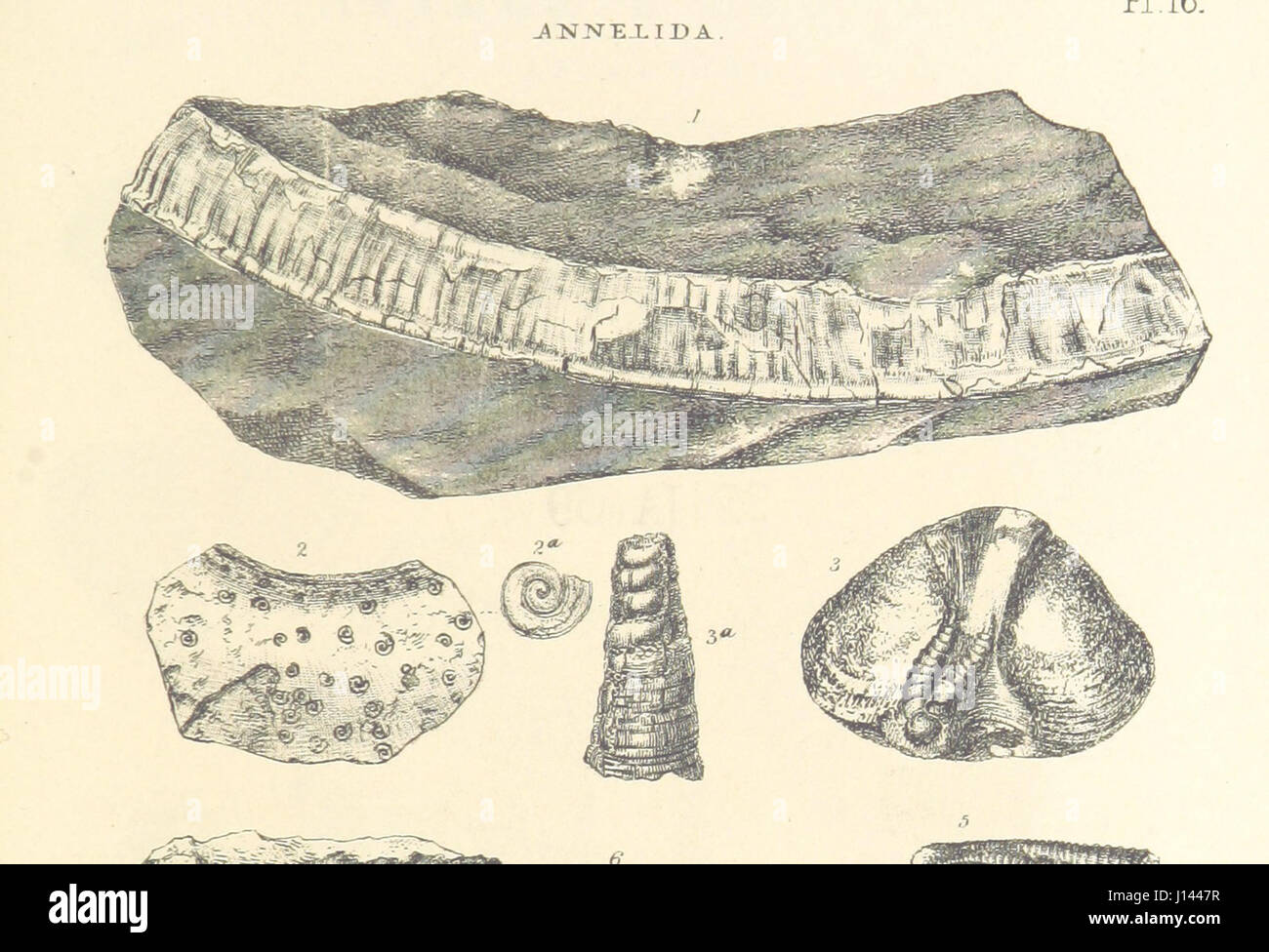 This work on Siluria provides a detailed history of the ancient rocks ...
