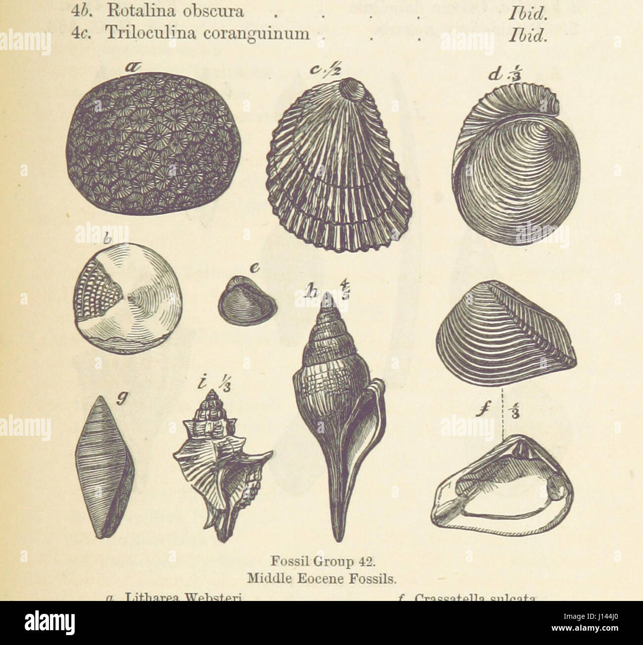 'The Student's Manual of Geology' serves as an introductory guide to ...