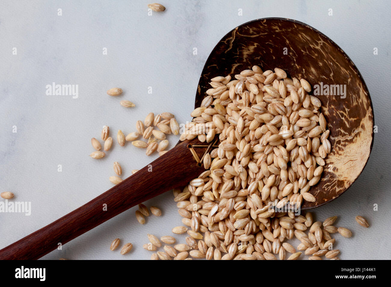 Pearl barley grain in a tortoise shell spoon Stock Photo - Alamy