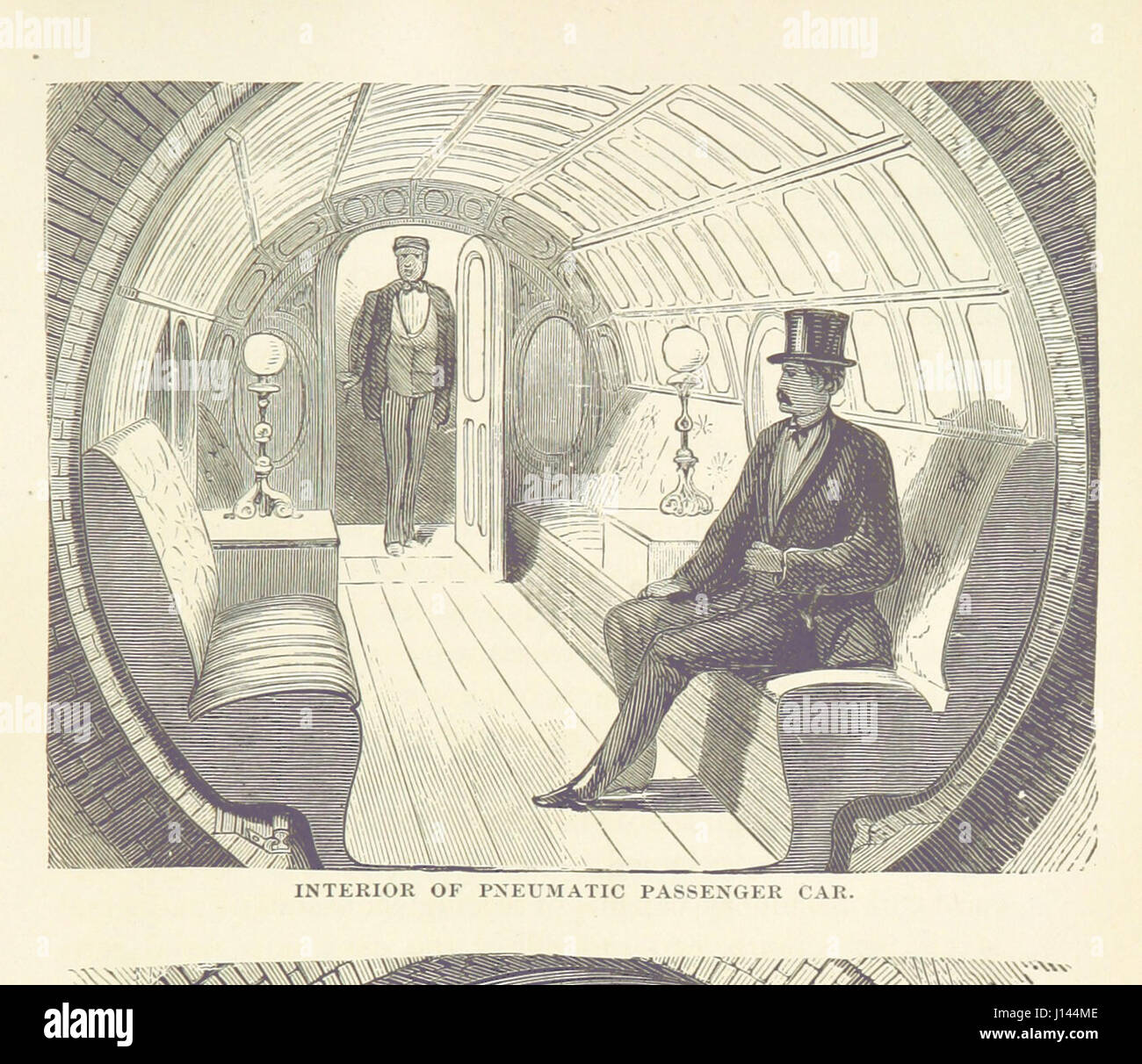 This work explores the hidden world of underground life, detailing ...