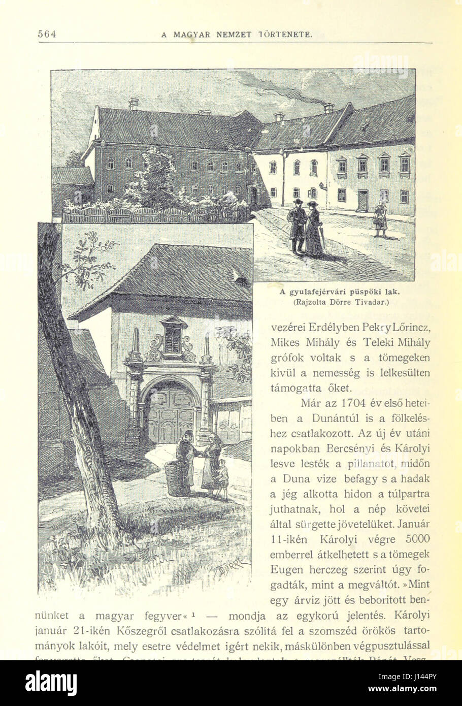 A magyar nemzet tortenete is a history of the Hungarian nation, edited ...