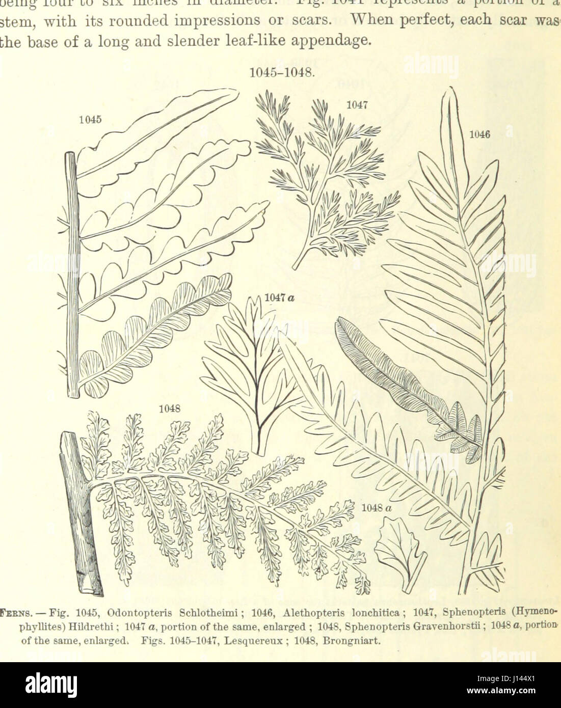 This revised edition of the 'Manual of Geology' covers the foundational ...