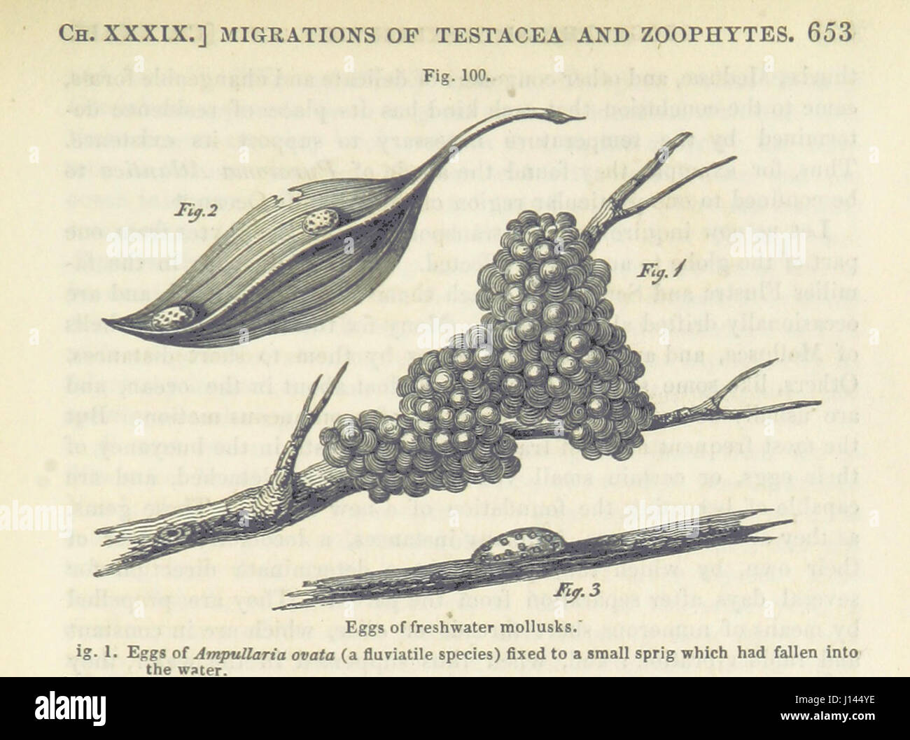 'Principles of Geology' by Charles Lyell presents foundational concepts ...