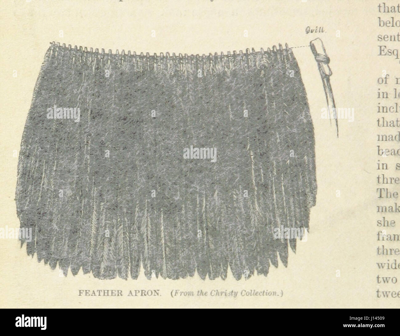 *The Natural History of Man* explores the customs and manners of ...