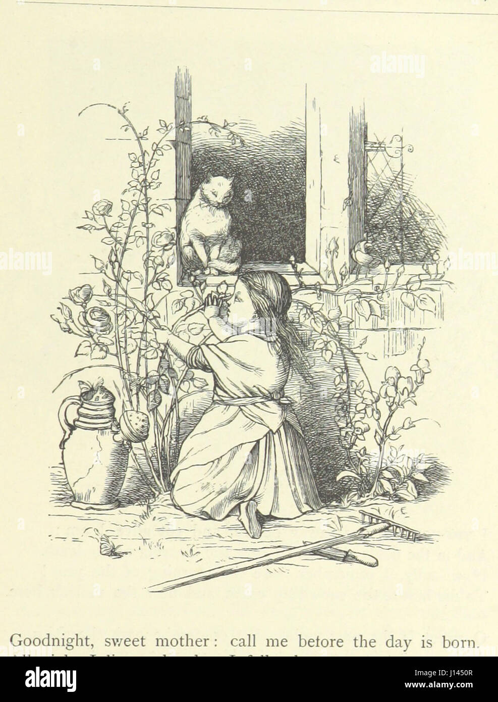 This collection features favorite English poems and poets, illustrated ...