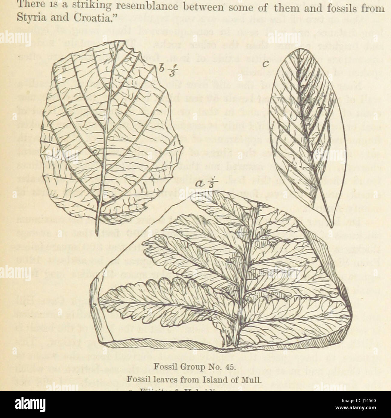 A manual for students studying geology, providing key concepts ...