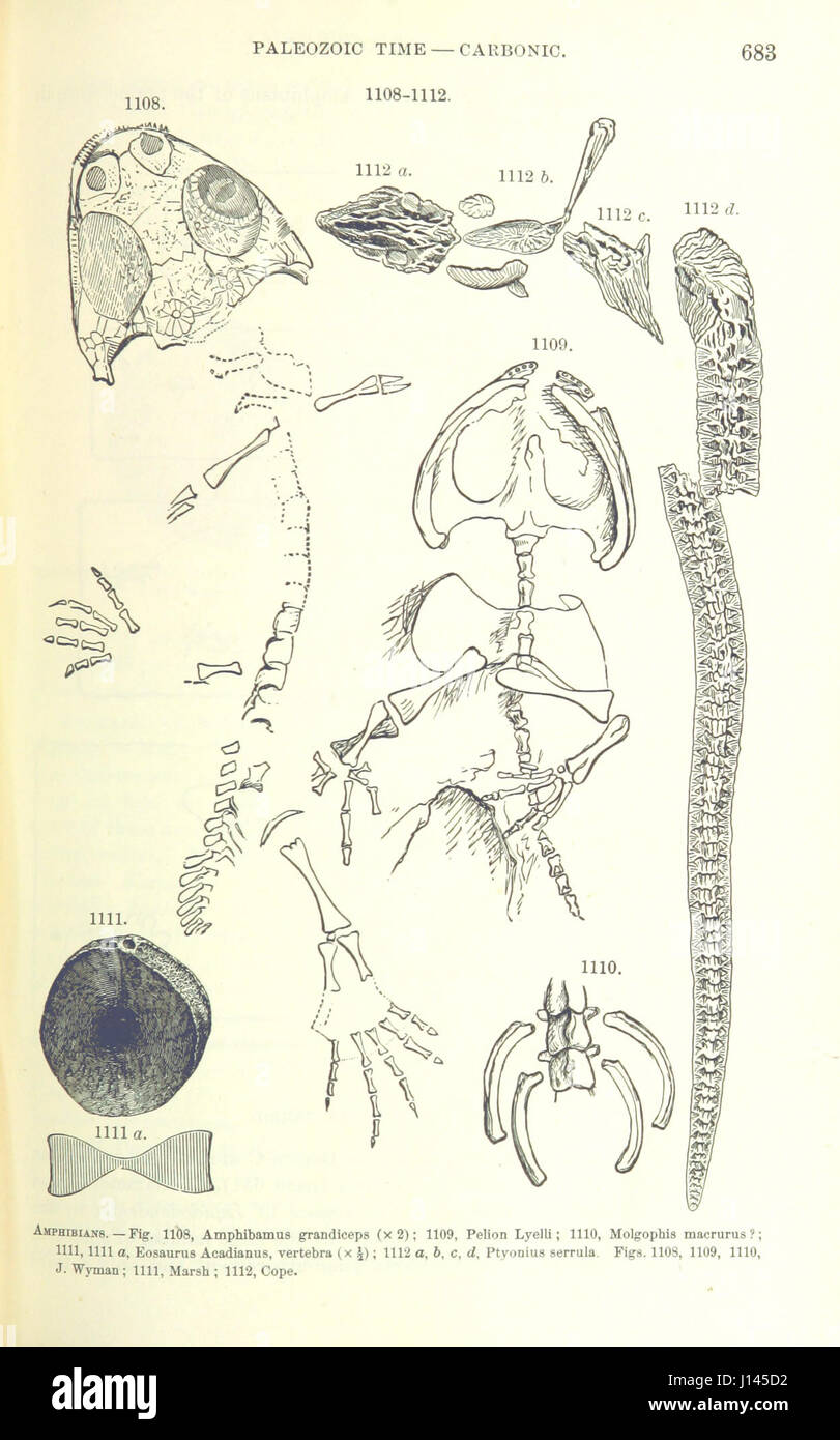 This revised edition of a geological manual explores the principles of ...