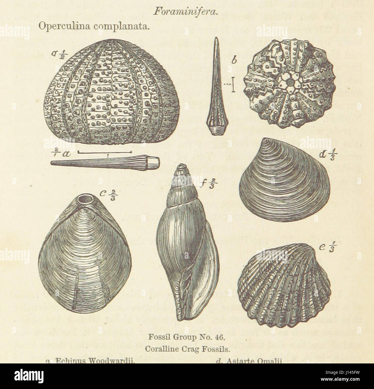 'The Student's Manual of Geology' is a comprehensive guide to the study ...