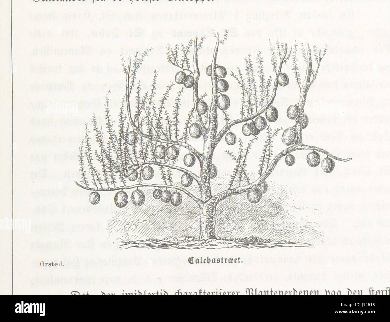 This Danish geography book offers a general overview of Denmark’s ...