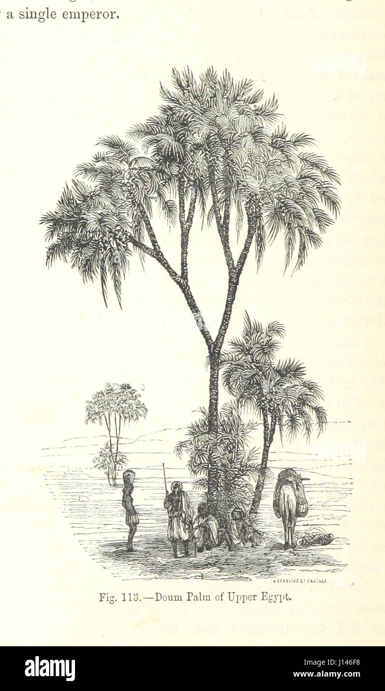 This new edition of 'The History of Egypt' covers the extensive history ...