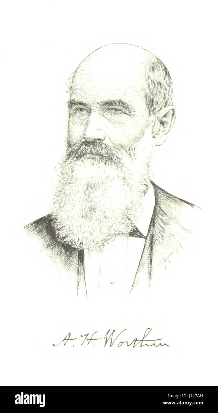 Geological museum Cut Out Stock Images & Pictures - Alamy