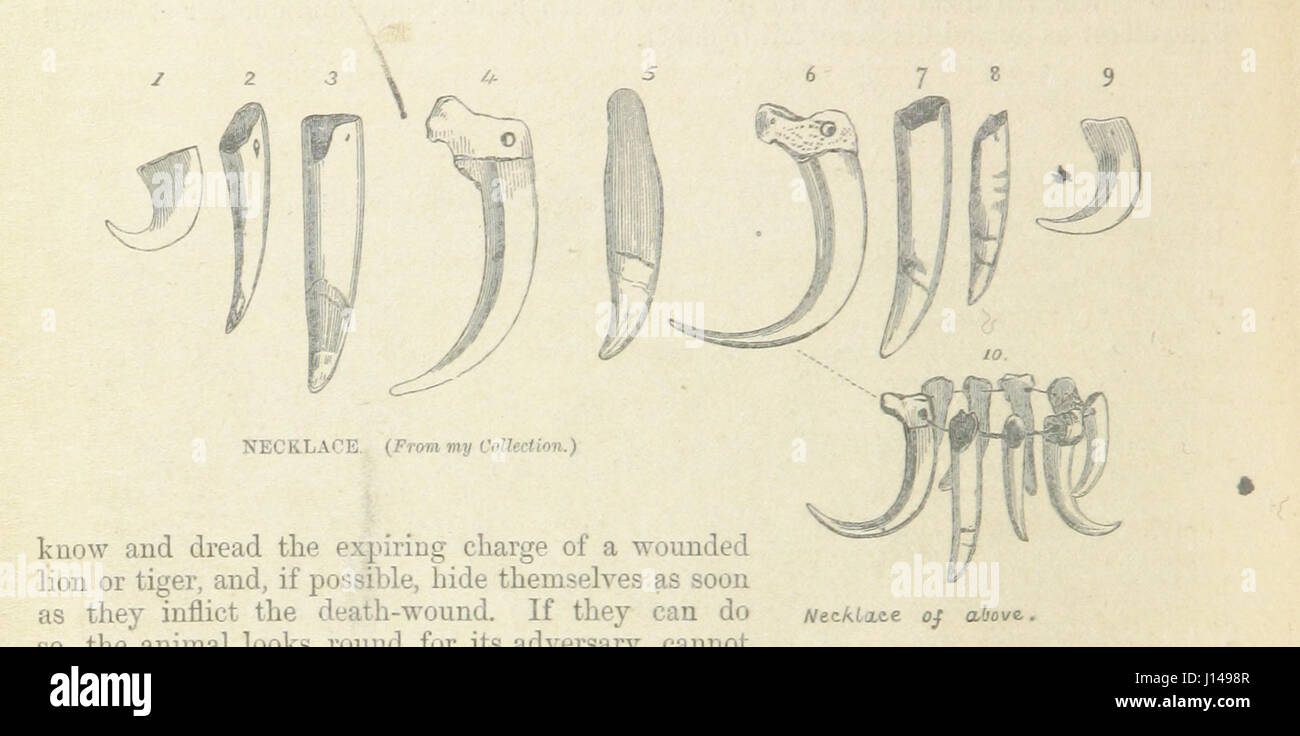 This book offers a detailed account of the cultural practices, manners ...