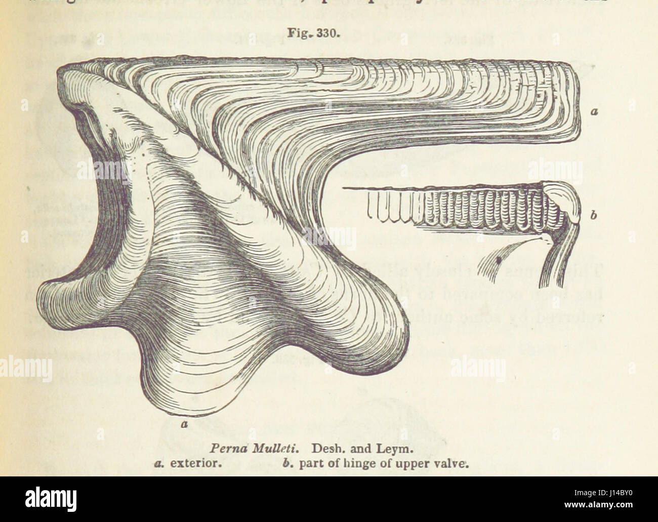 Elements of Geology ... Sixth edition, greatly enlarged and illustrated ...