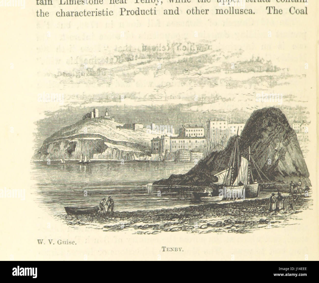 Records of the Rocks; or notes on the geology, natural history, and ...