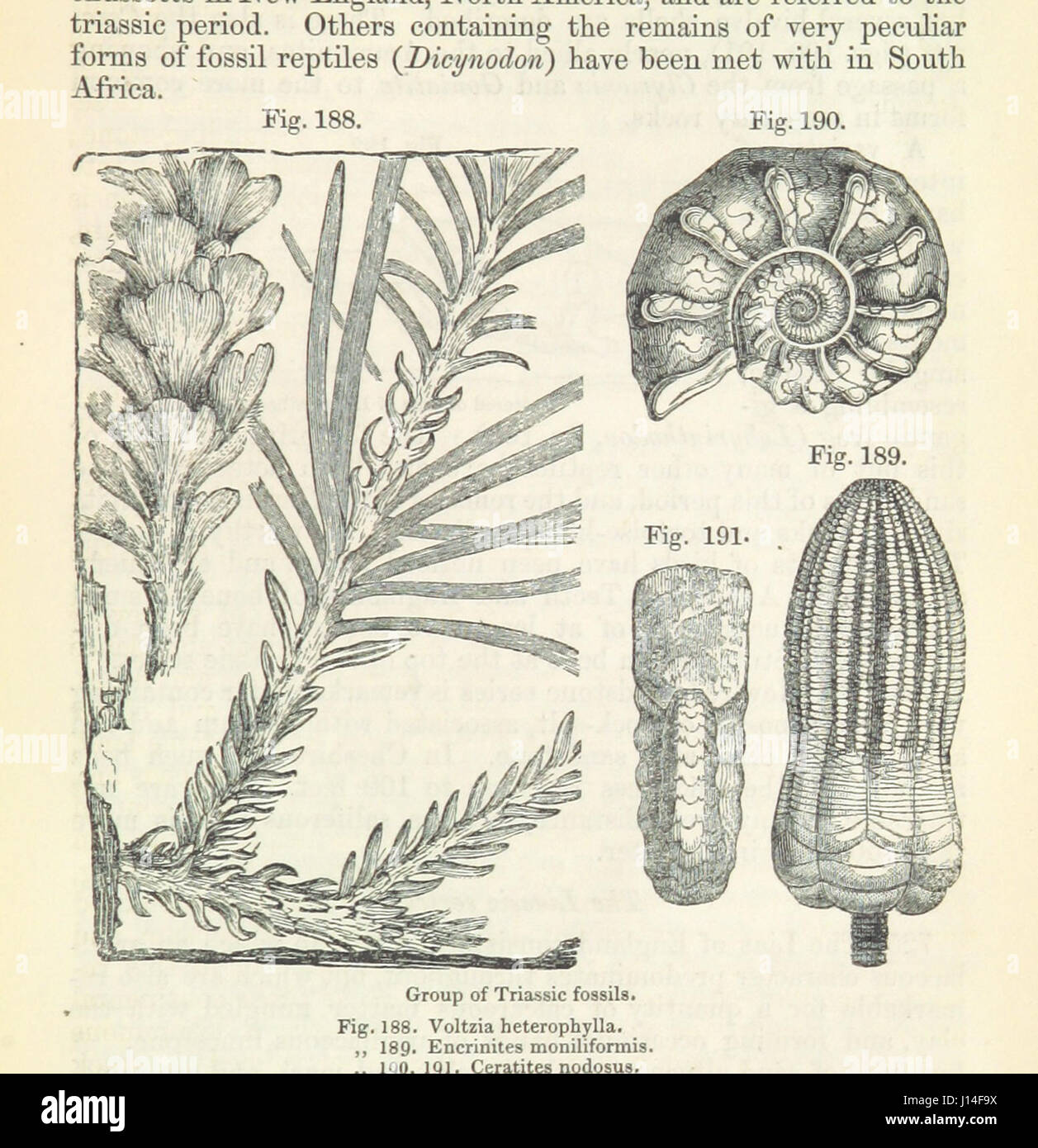 [An Elementary Course of Geology, Mineralogy, and Physical Geography ...