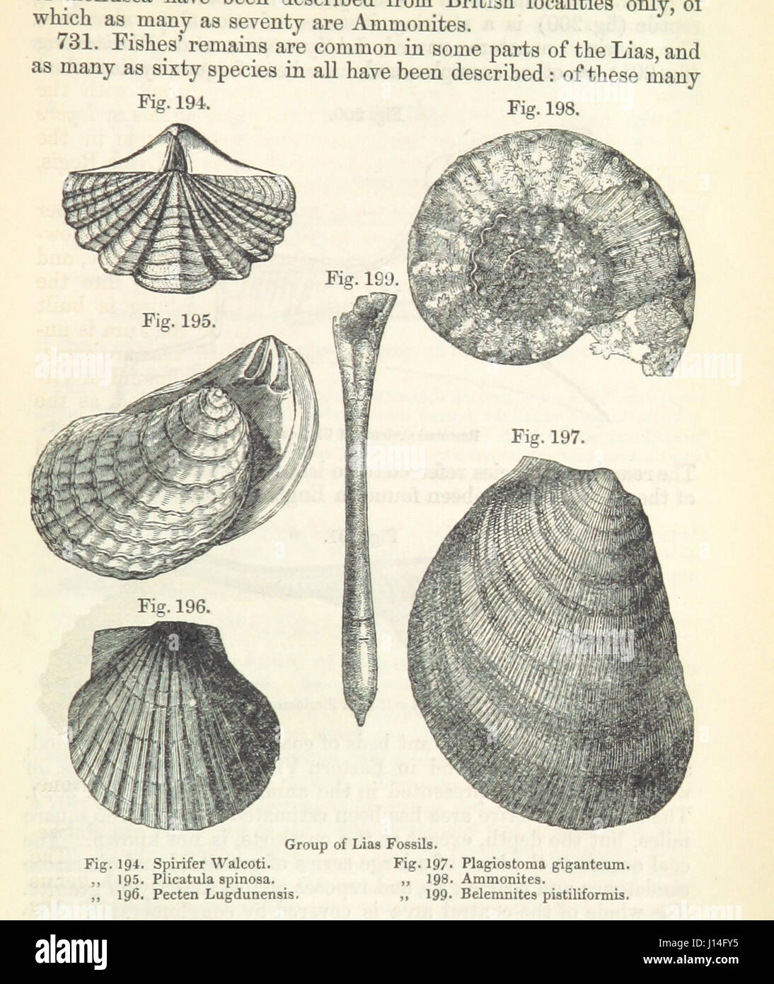 [An Elementary Course of Geology, Mineralogy, and Physical Geography ...