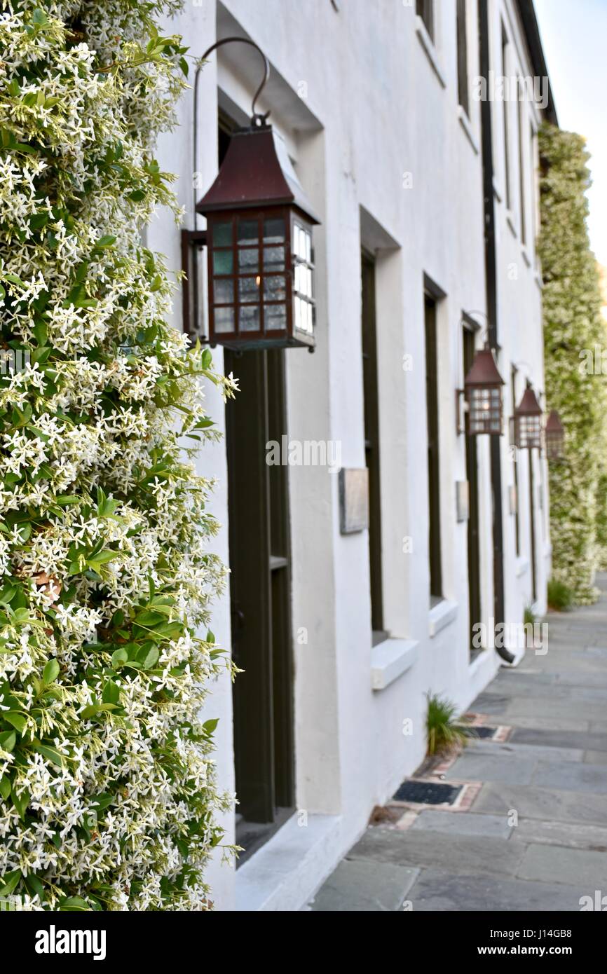 Charming streets of Charleston, South Carolina Stock Photo - Alamy