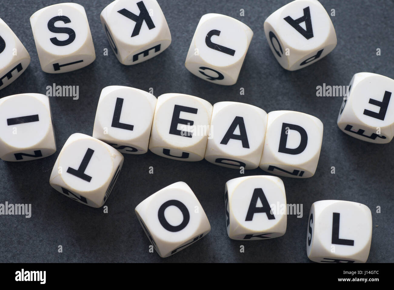 word lead on white toy cubes Stock Photo - Alamy