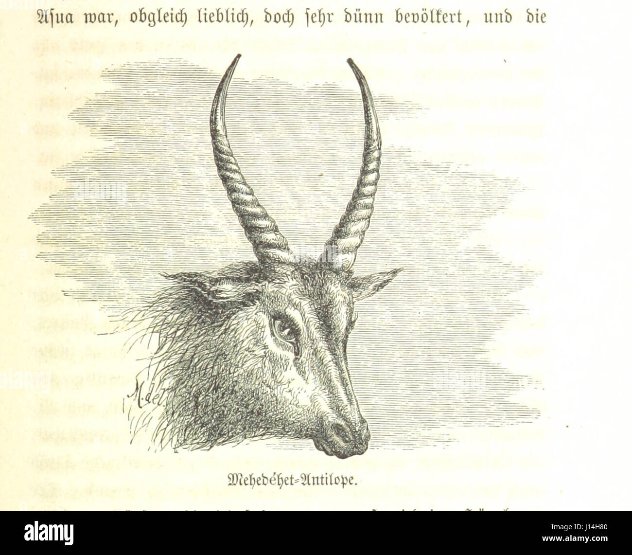 Der Albert Nyanza, das grosse Becken des Nil und die Erforschung der ...