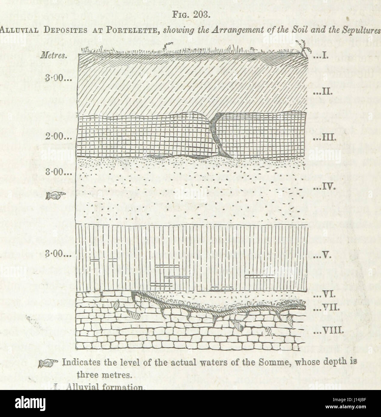 [Types of Mankind: or Ethnological Researches ... illustrated by ...