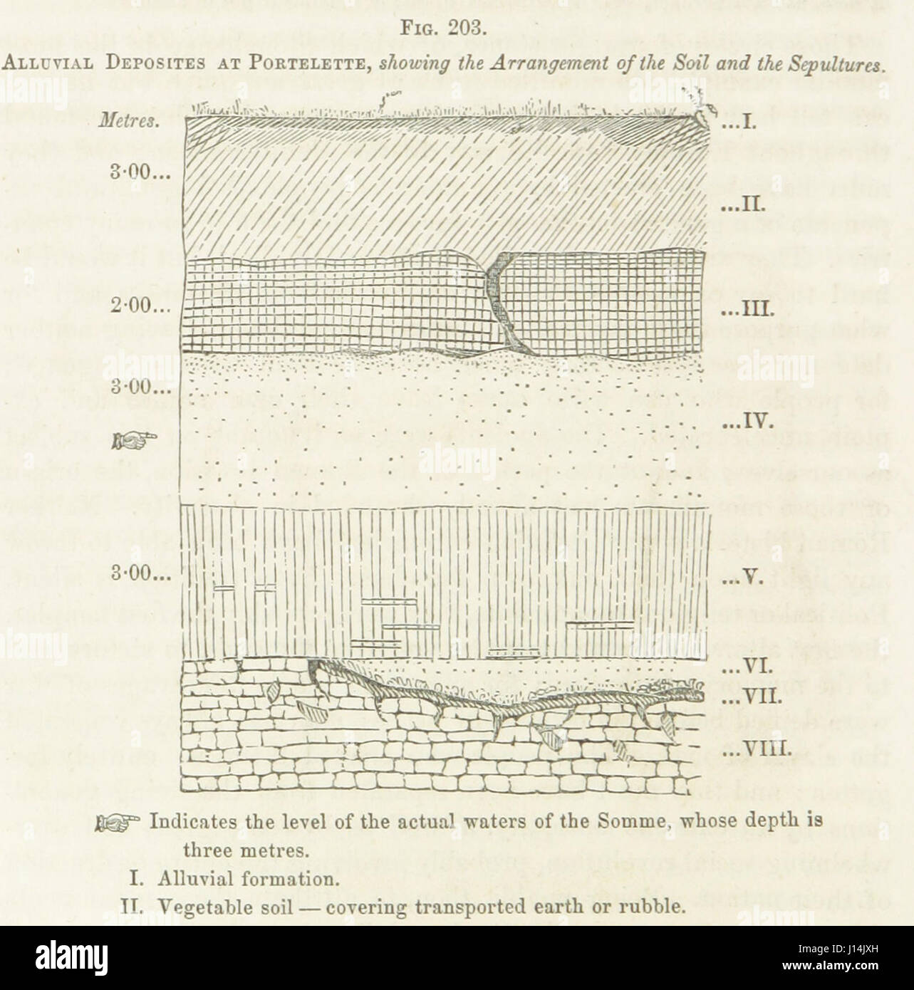 Types of Mankind: or Ethnological Researches ... illustrated by ...