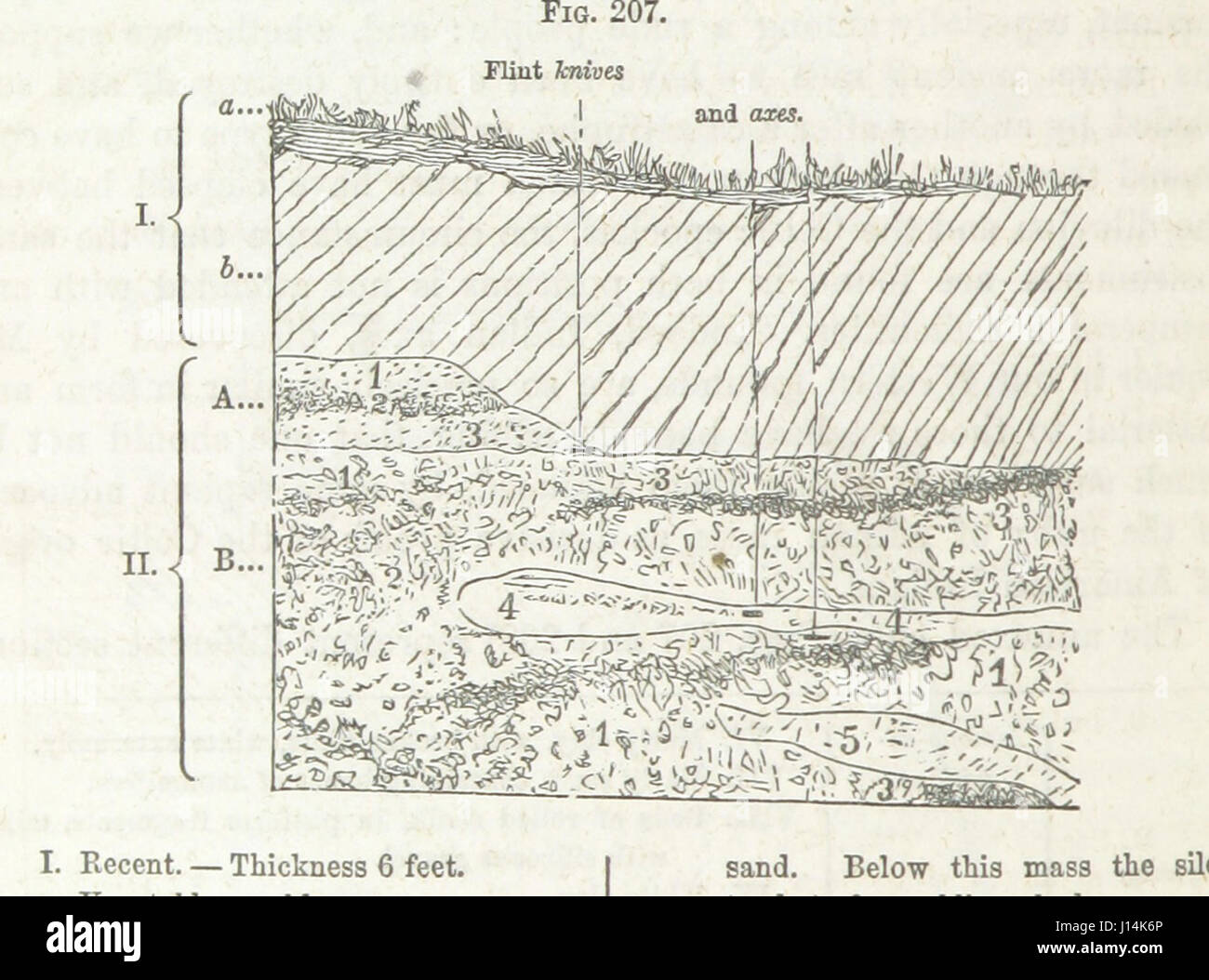 [Types of Mankind: or Ethnological Researches ... illustrated by ...