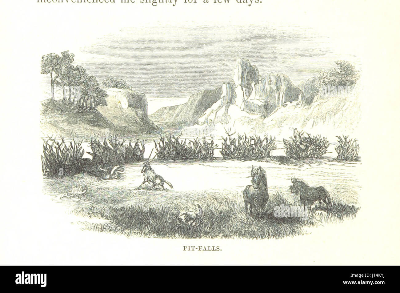 Lake Ngami; or, Explorations and discoveries during four years ...