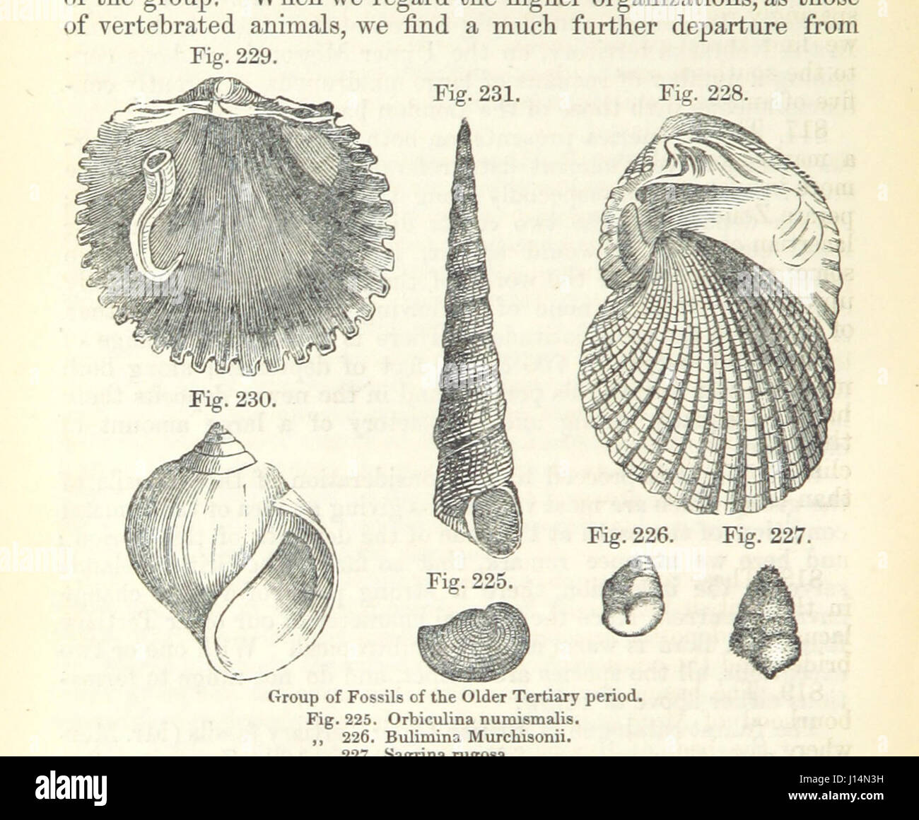 [An Elementary Course of Geology, Mineralogy, and Physical Geography ...