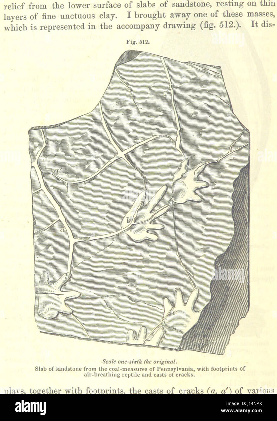 [A Manual of Elementary Geology. ... Third and entirely revised edition ...