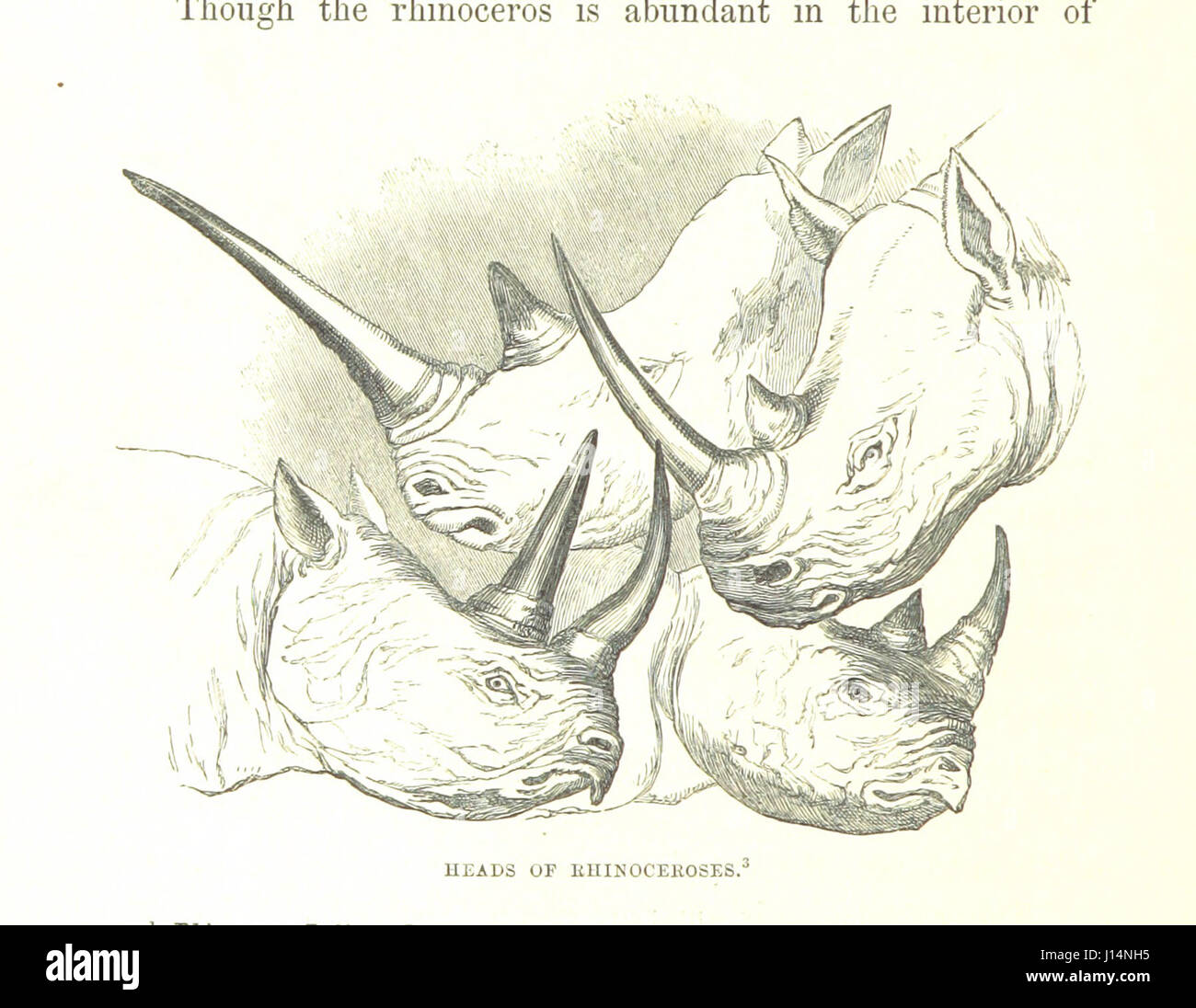 Lake Ngami; or, Explorations and discoveries during four years ...