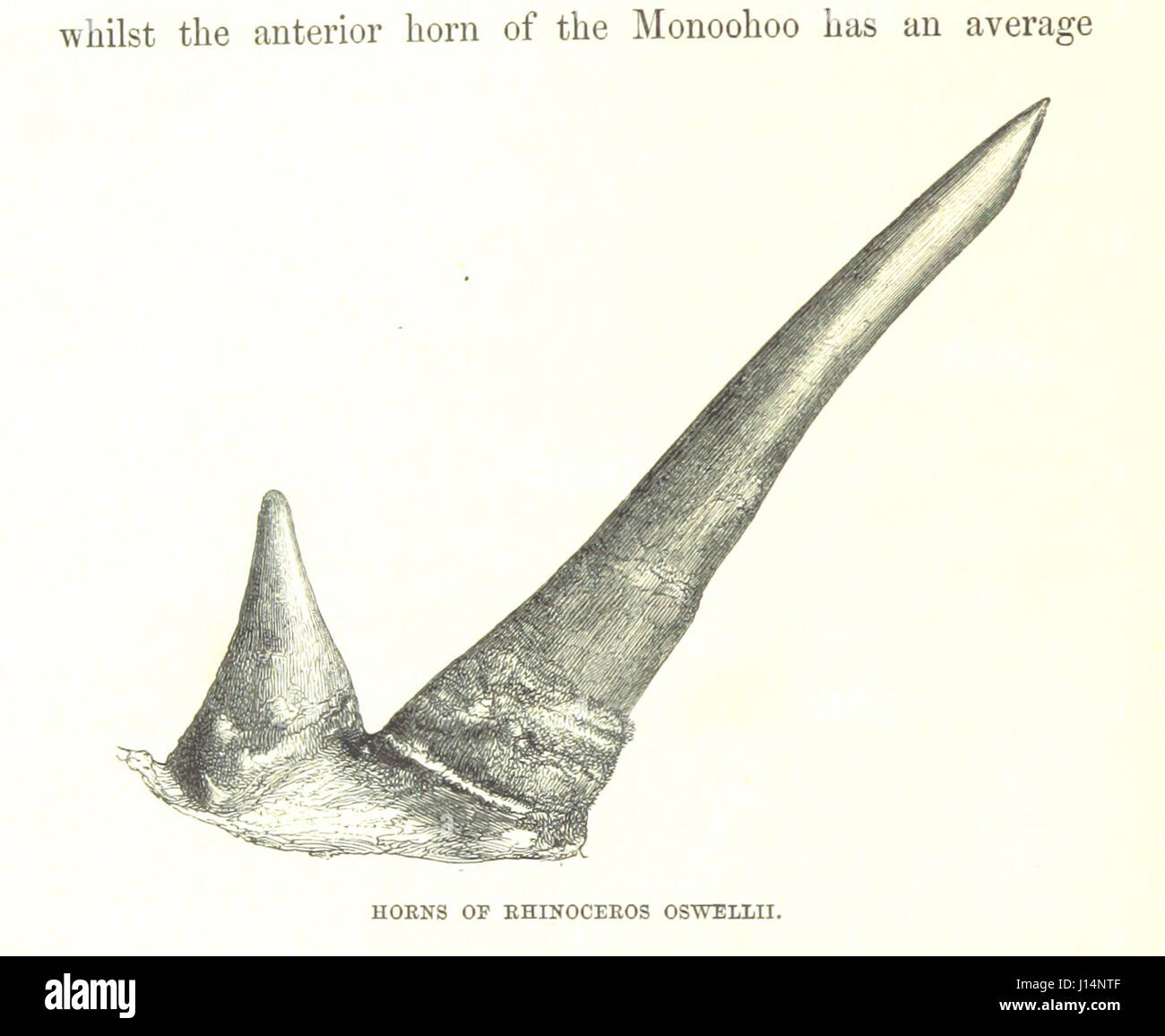 Lake Ngami; or, Explorations and discoveries during four years ...
