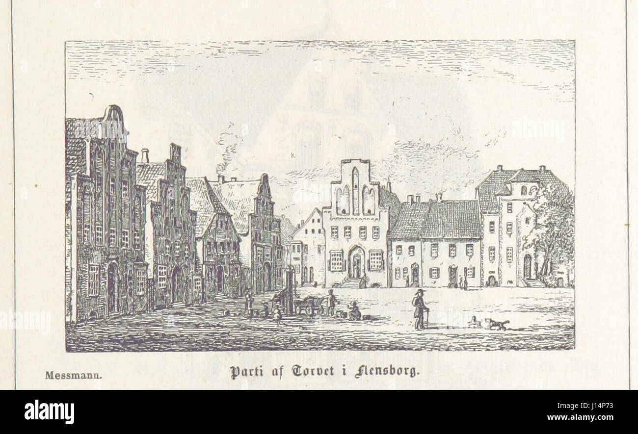 Den danske Stat, en almindelig geographisk Skildring for Folket. Med ...