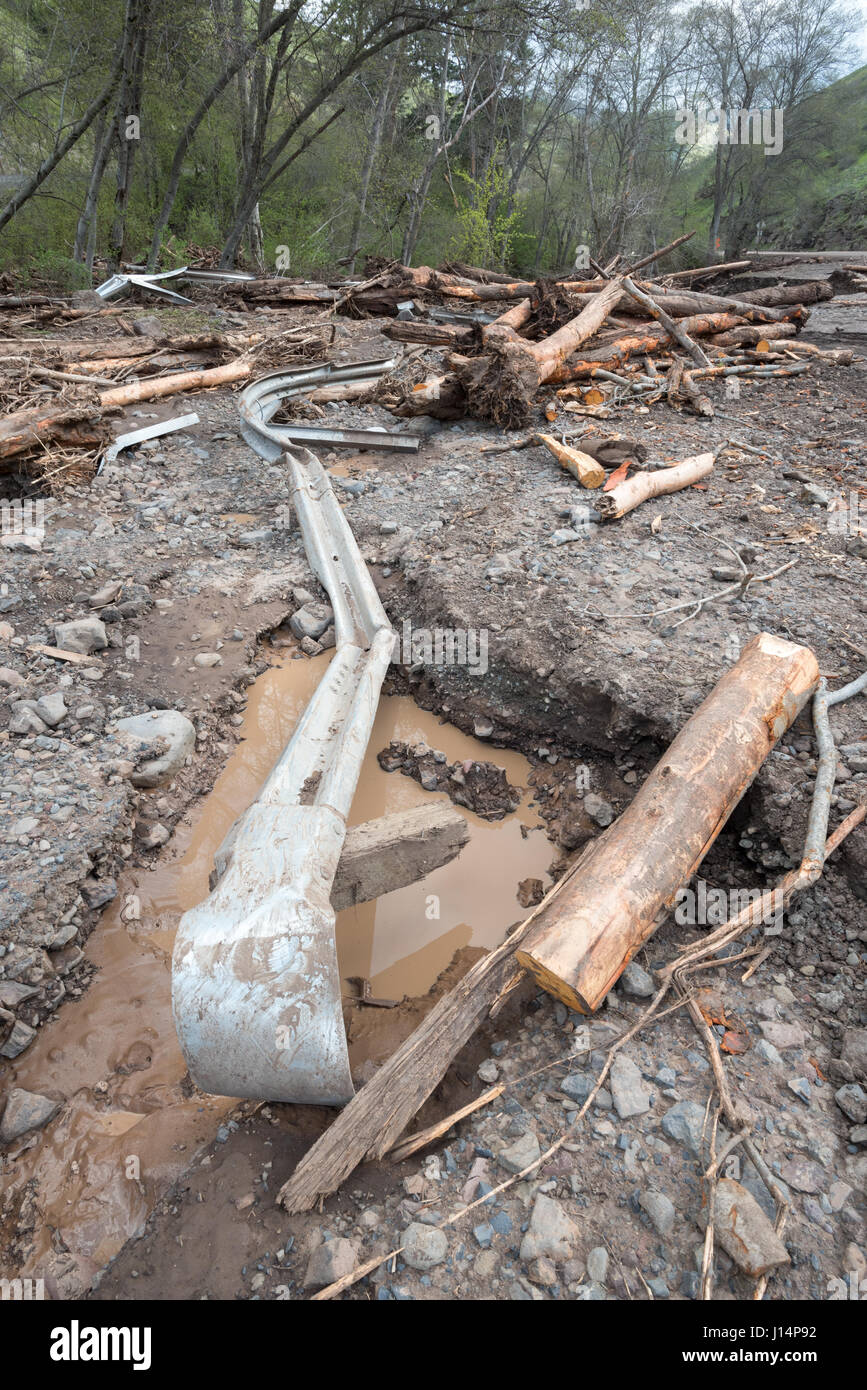 Twisted guardrail and downed trees along Hwy. 129 in S.W. Washington ...