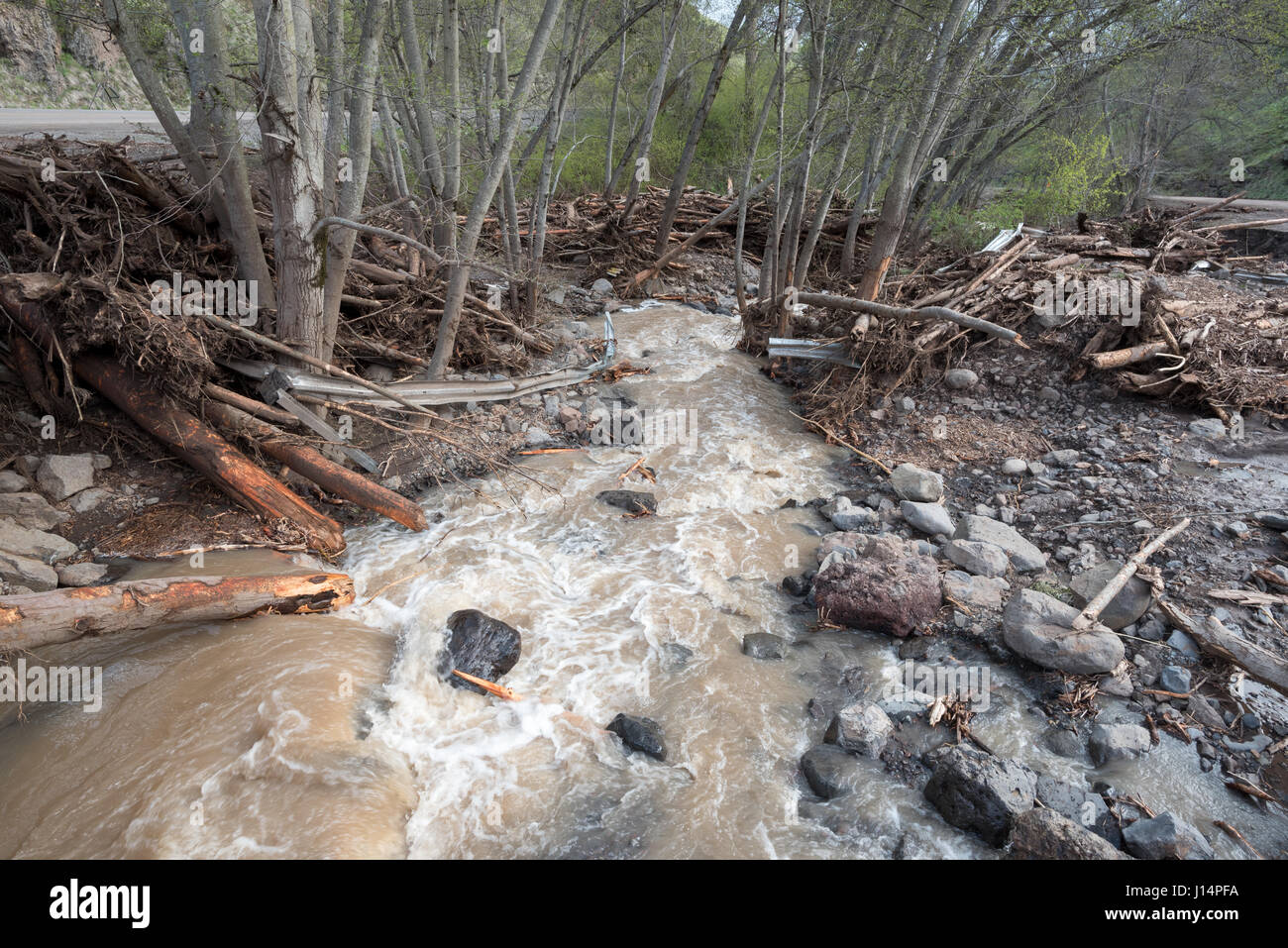 Twisted guardrail and downed trees along Rattlesnake Creek in Southwest ...