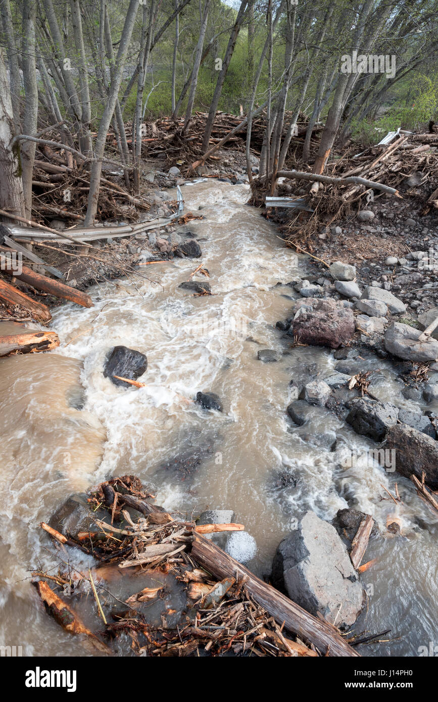 Twisted guardrail and downed trees along Rattlesnake Creek in SW ...