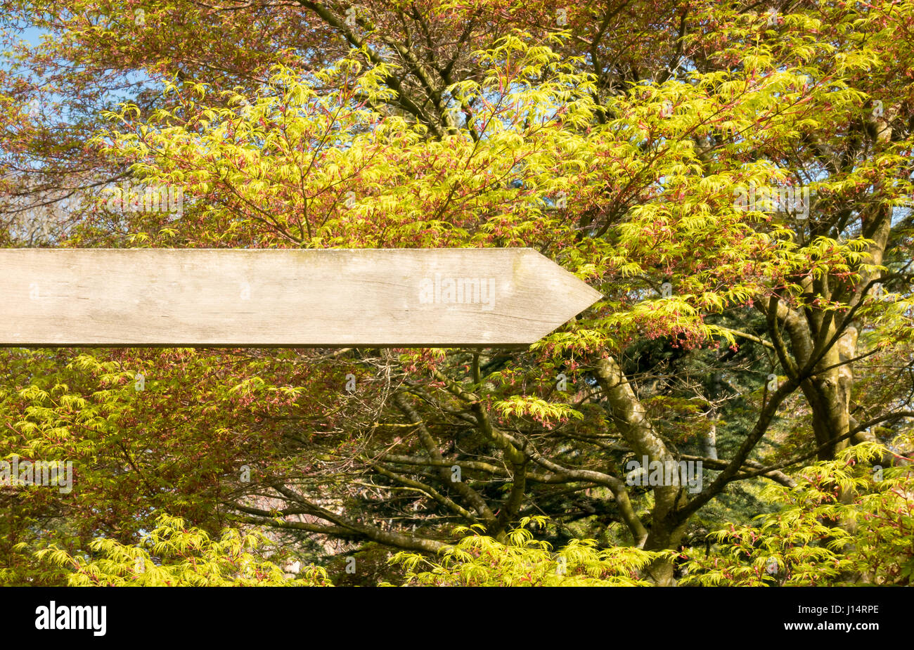 Empty shoots hi-res stock photography and images - Alamy