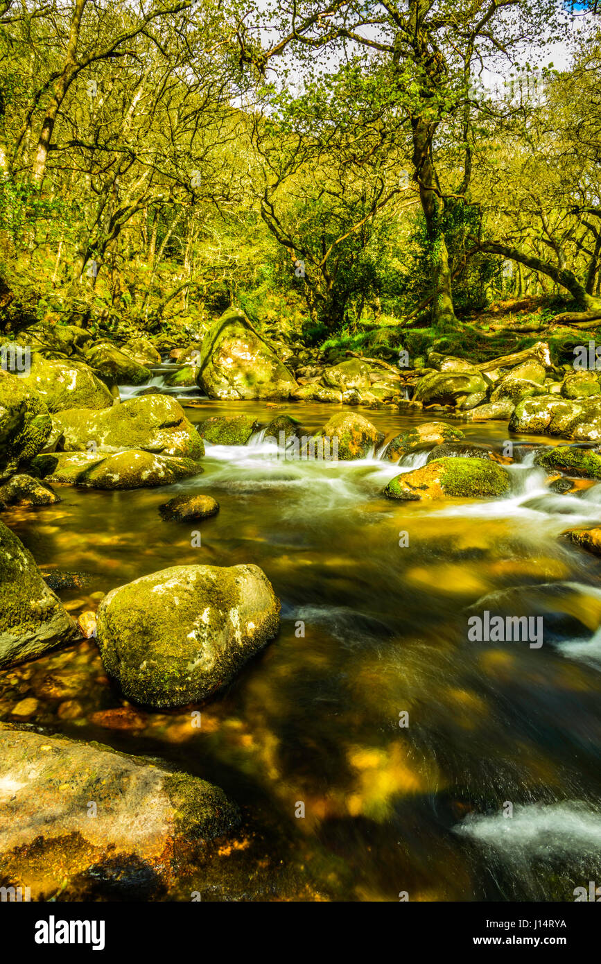 Views along the upper reaches of River Plym and River Meavy on Dartmoor ...
