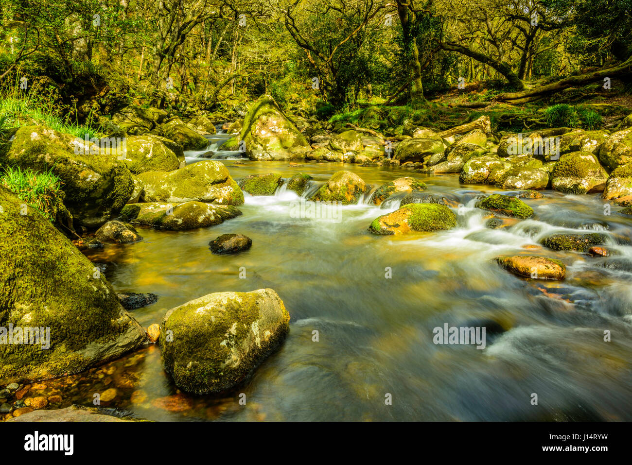 Views along the upper reaches of River Plym and River Meavy on Dartmoor ...