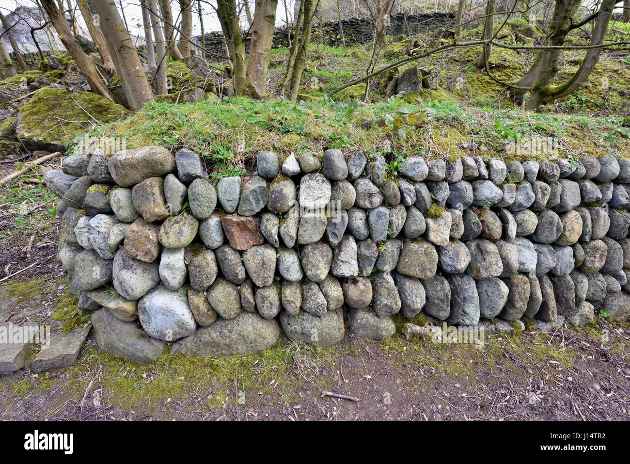 Hedge dyke wall Stock Photo - Alamy