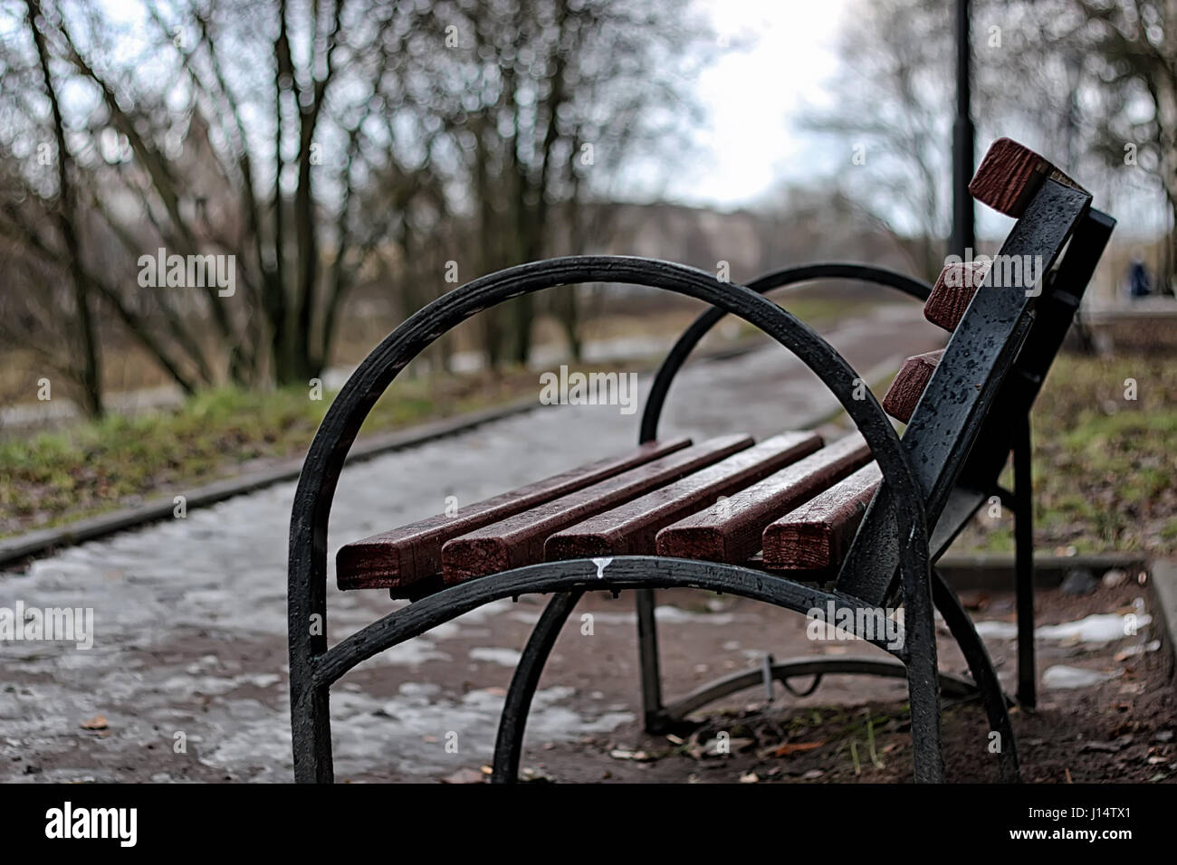 bench in the city in spring Stock Photo - Alamy