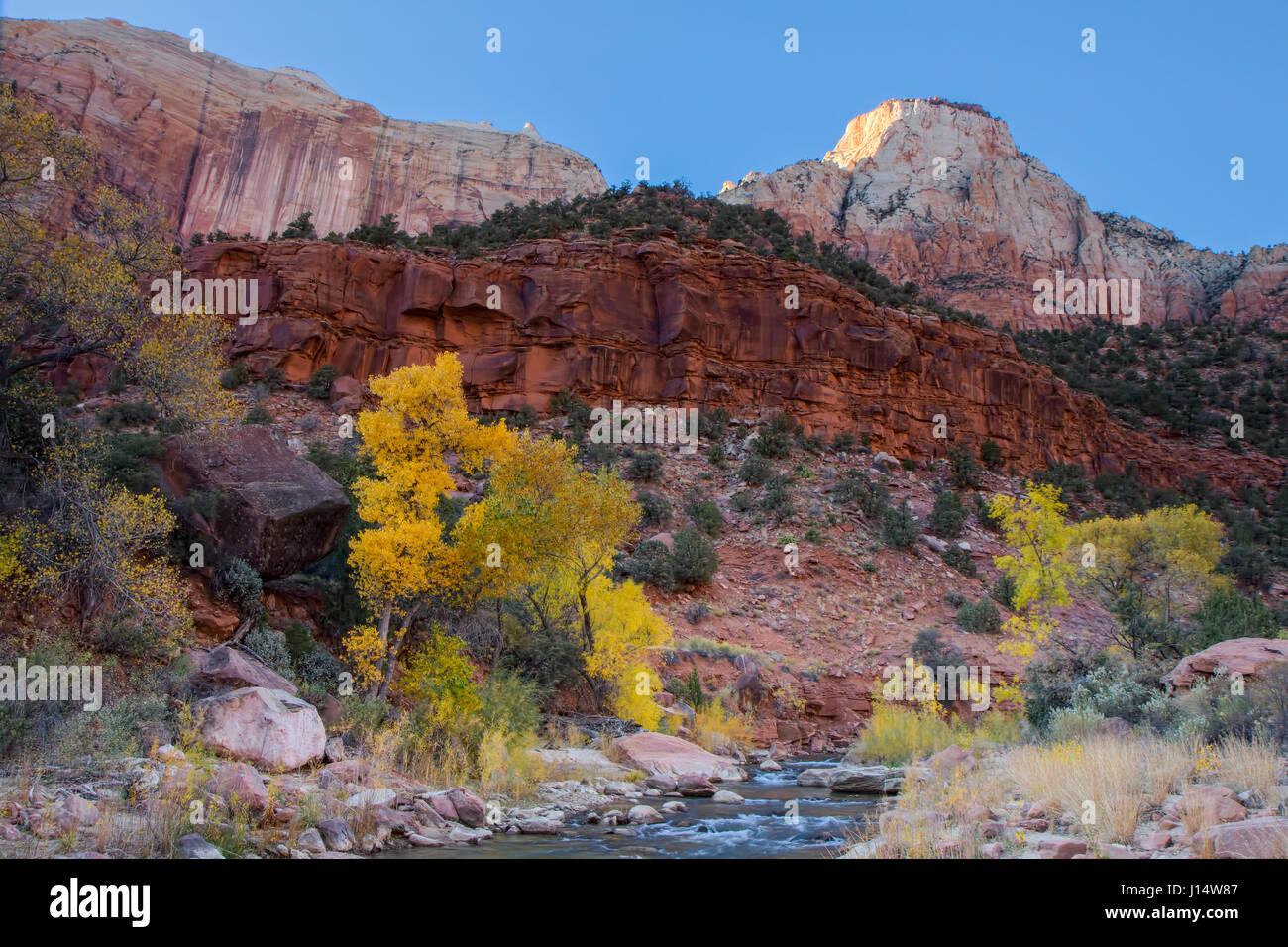 Zion fall colours hi-res stock photography and images - Alamy