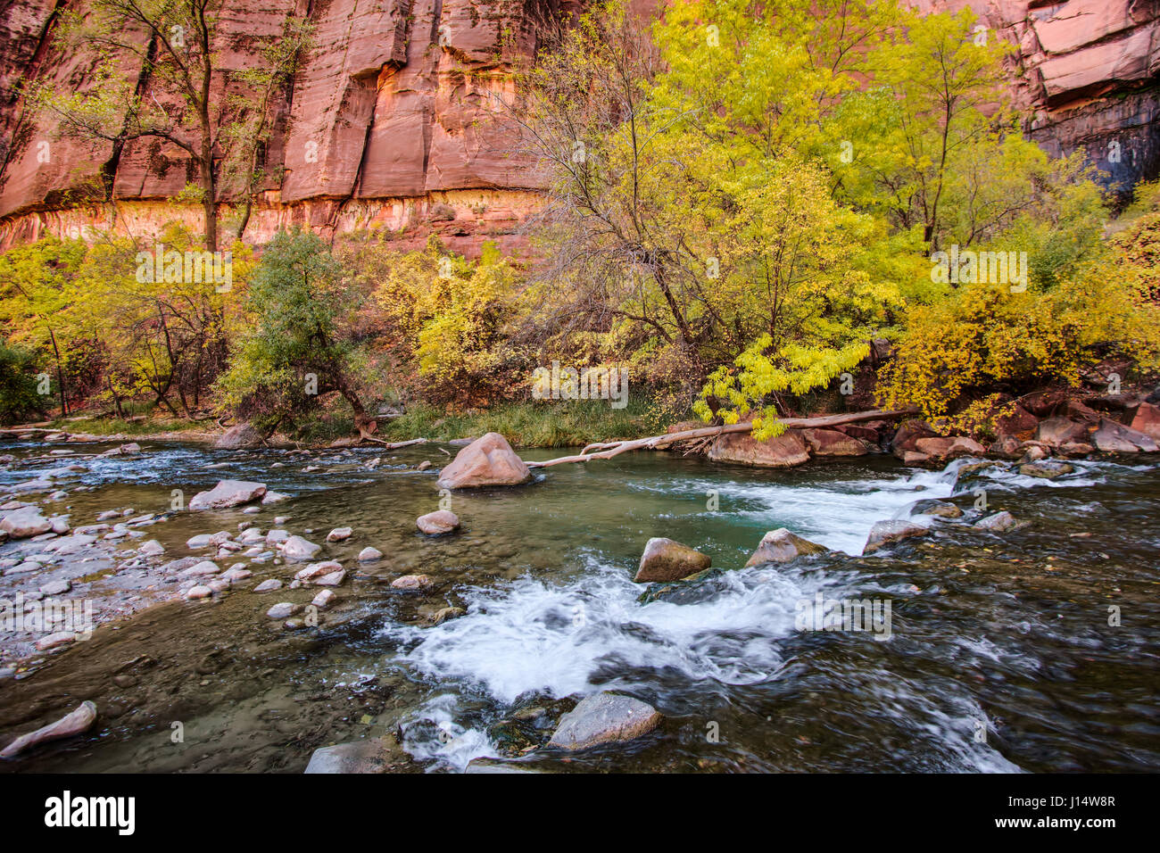 Small Rapids on the Virgin River Stock Photo - Alamy