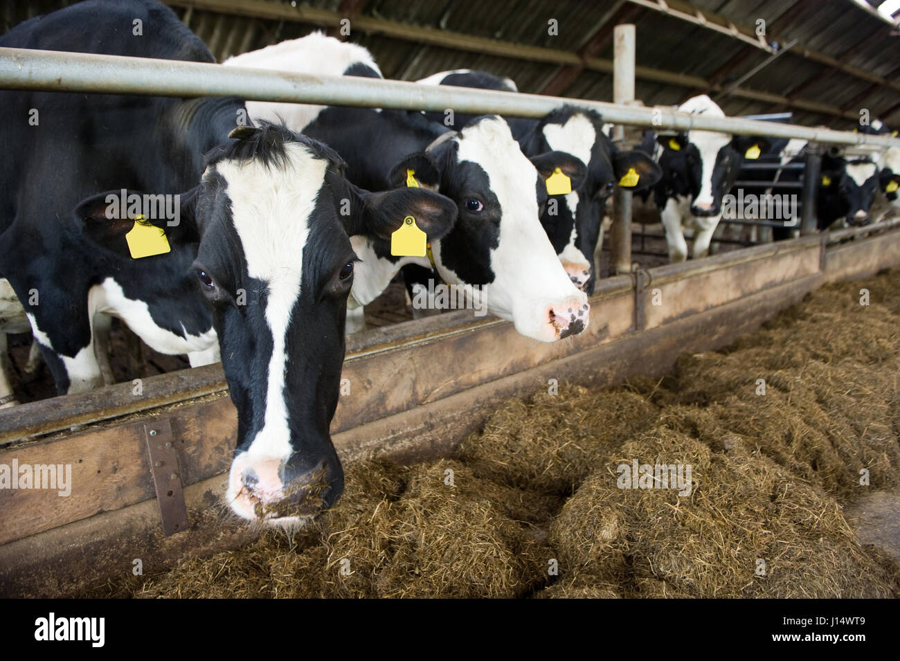 Farm stall barn hi-res stock photography and images - Alamy