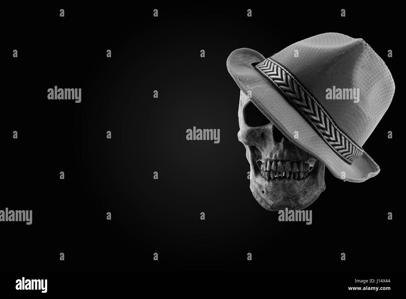 Still life skull dark tone Stock Photo - Alamy